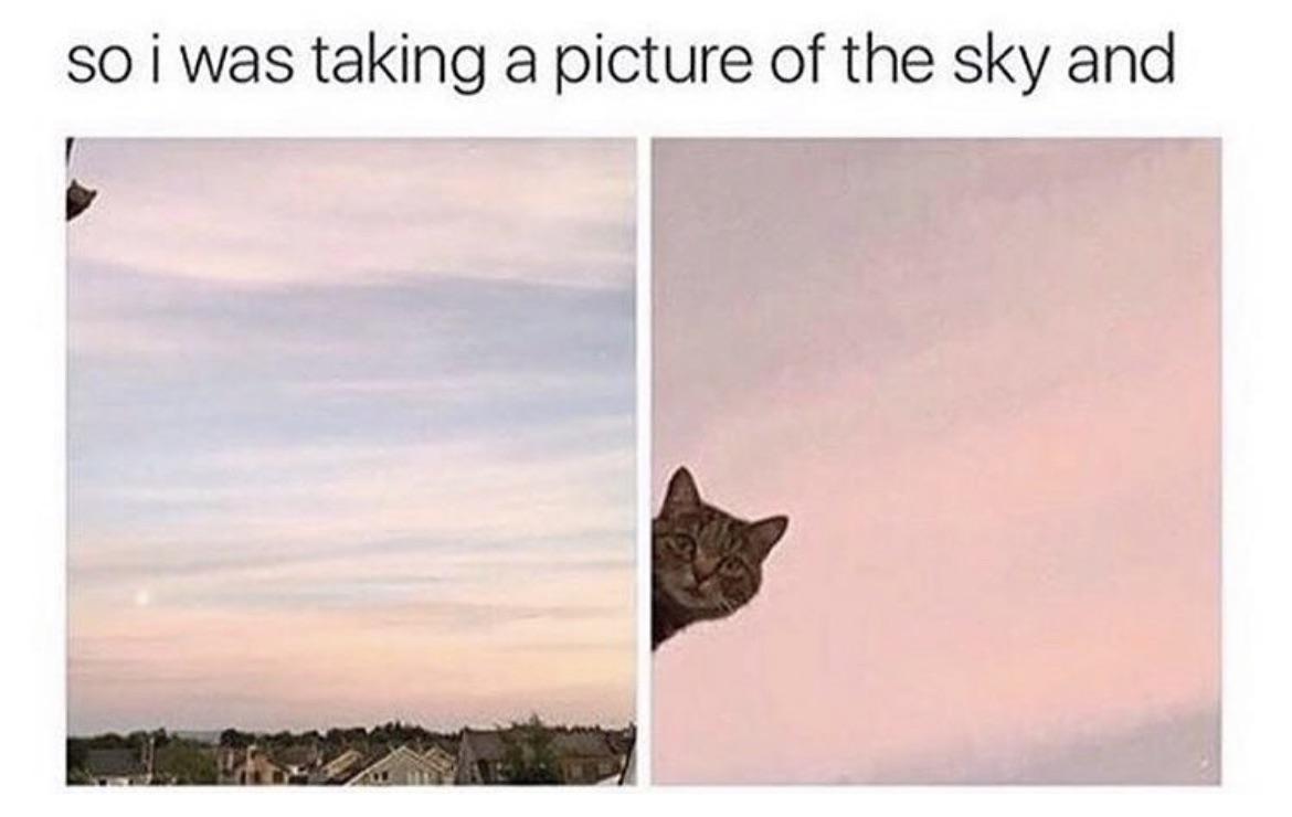 my uncle’s meme stash on Twitter: "Second pic would be a dope album cover imo https://t.co ...