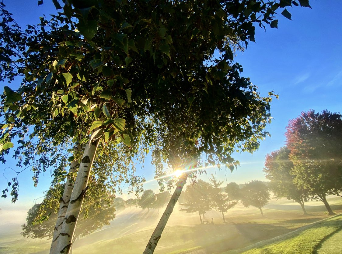 Make The Golf Course A Public Sex Forest On Twitter Rt Christin612