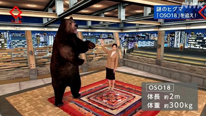 NHKクローズアップ現代 公式 on Twitter: " 謎のヒグマ「OSO18」の特徴は？ 密着！OSO18包囲網 「OSO18」は捕まるか？ 対策班リーダー生解説 謎のヒグマ「OSO18 ...