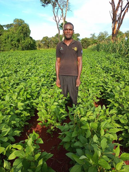 Profitable Small-scale Soya Bean Production for 1 hectare A thread... # ...