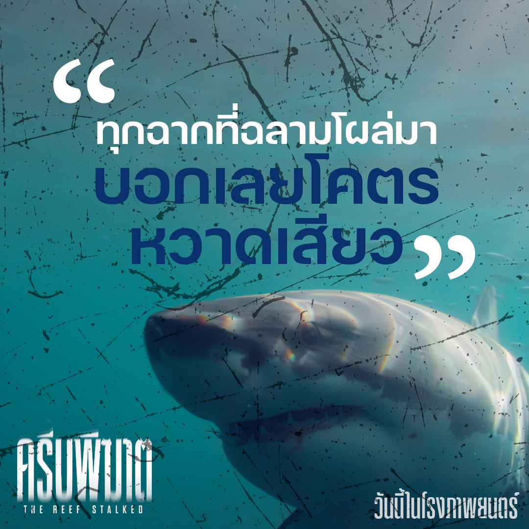 Sahamongkolfilm International On Twitter ครีบพิฆาต มันเดินหน้างาบต่อ