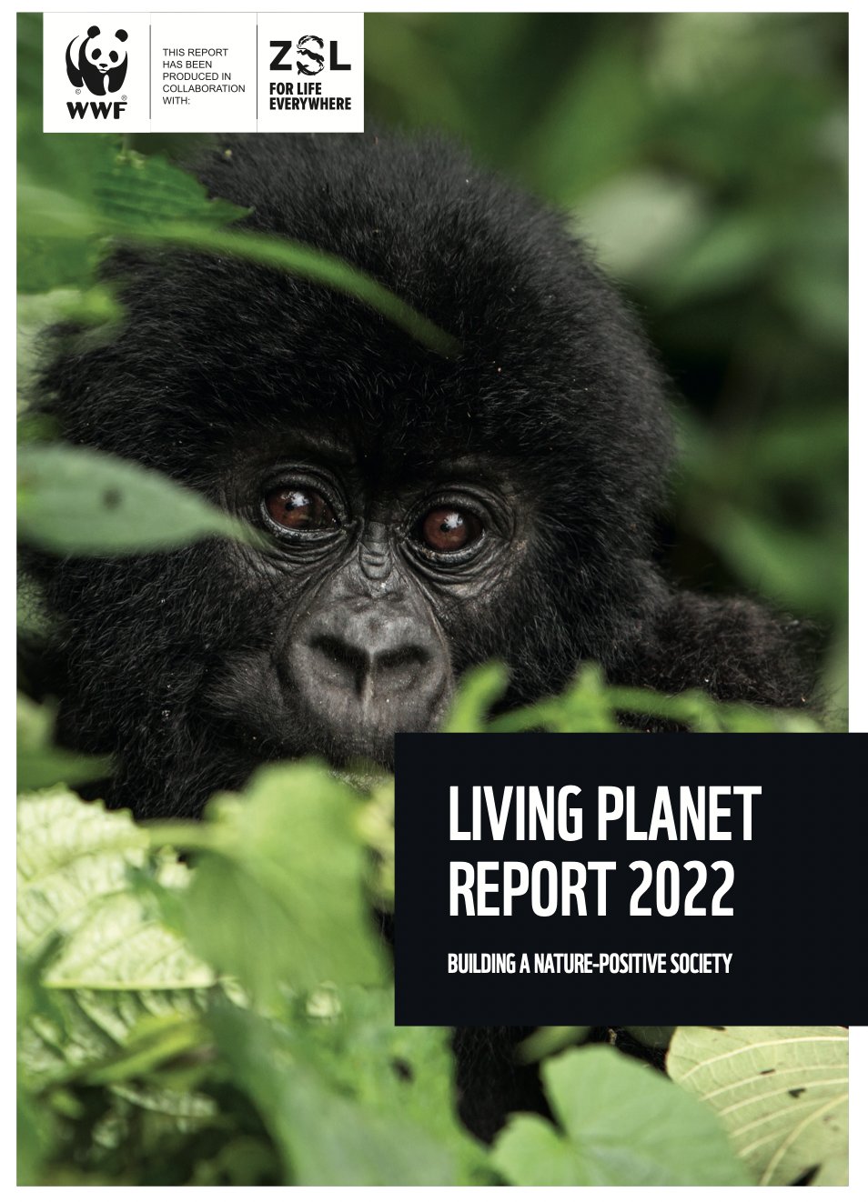 Global Environment Facility (GEF) (@theGEF) / Twitter