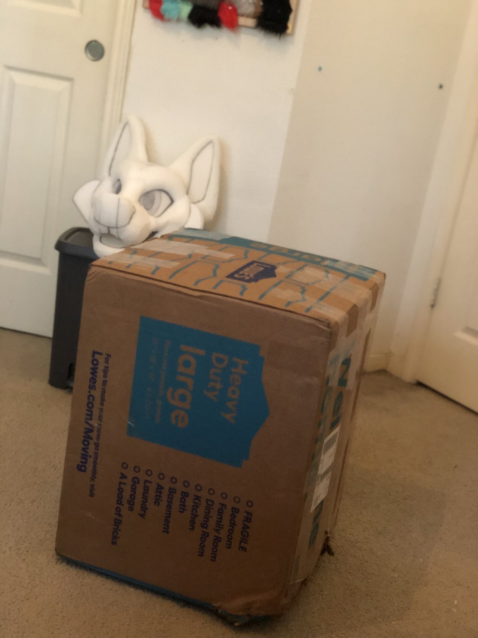 Freak Of Nature Studios On Twitter MASSIVE BOX OF FUR Https t co freak-of-nature-studios-on-twitter-massive-box-of-fur-https-t-co