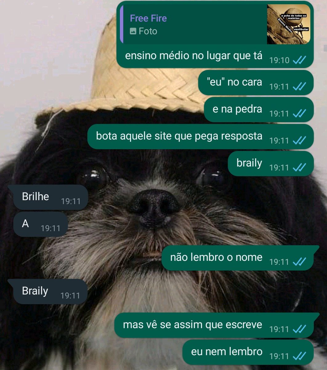 Meme Burros Ou Nada Inteligente On Twitter Os Adms Da Pág Faz Jus