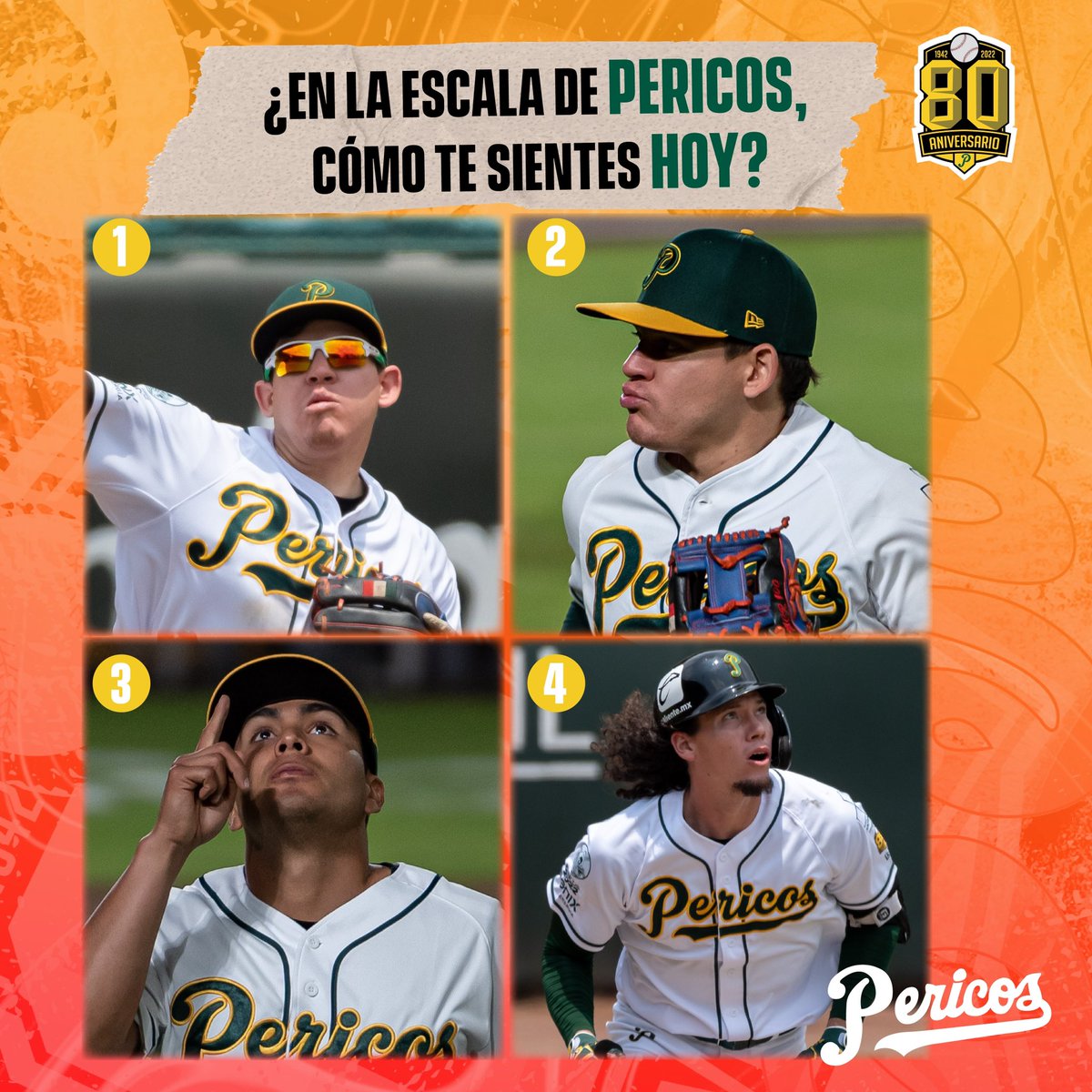 Pericos de Puebla on Twitter: Pericos de Puebla on Twitter: