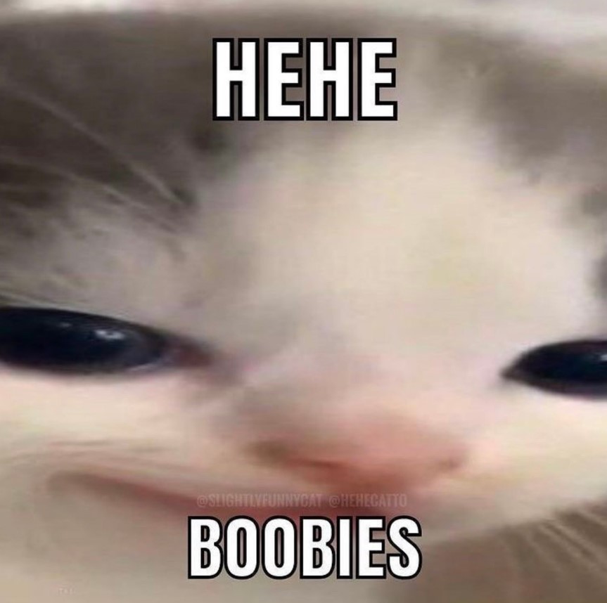 Rusty Fawkes on Twitter: "@heyimbee https://t.co/XJIJ0NpzdX" / Twitter