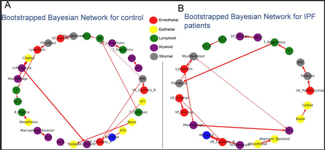 BioDecoded on Twitter: "CINS: Cell Interaction Network inference from Single cell expression ...