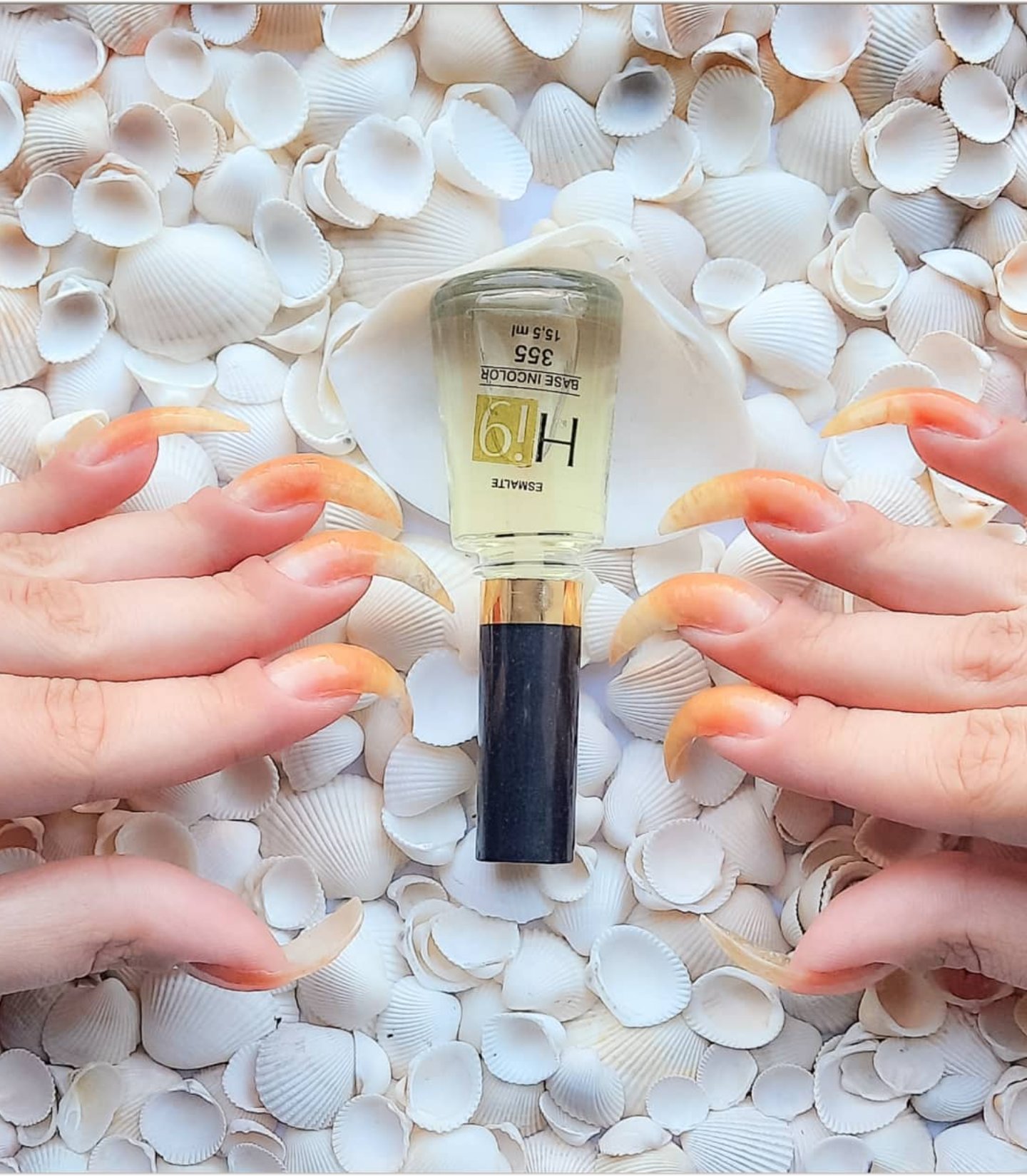 Toenails Obsession on Twitter: "RT @nailpassion: Nails Of The Day: Metamorfoses de Afrodite ...