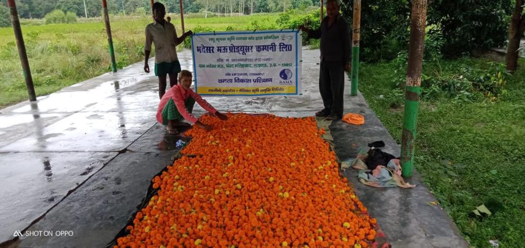 SFAC India on Twitter: SFAC India on Twitter: