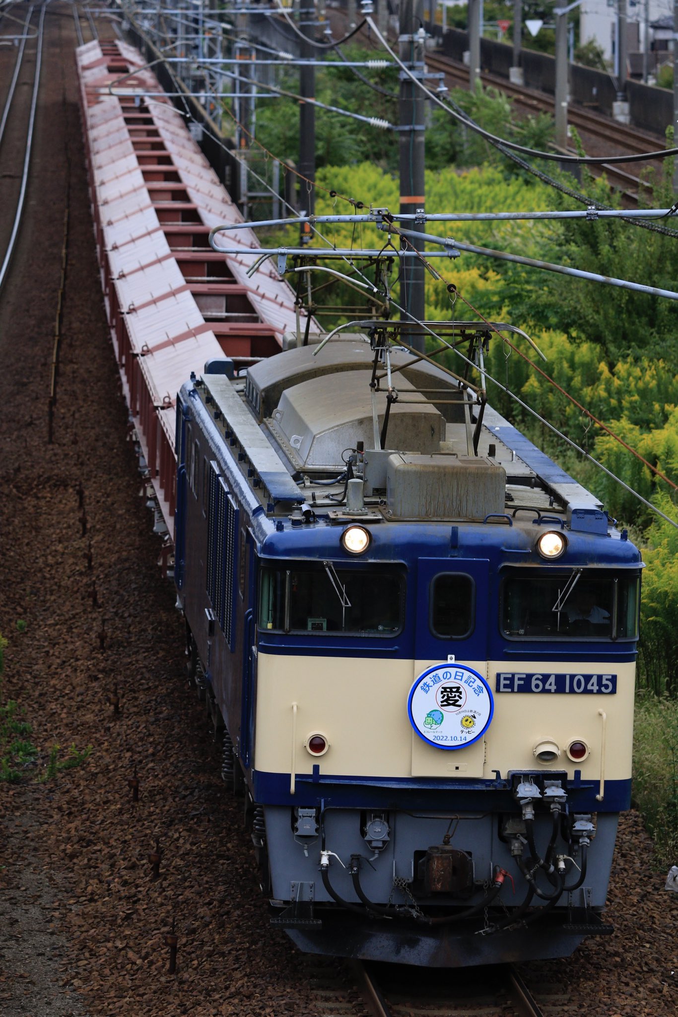 Tynpn on Twitter: "8785ﾚ EF64 1045 代走 8053ﾚ EF210-9 遅延約9時間半 8865ﾚ EF210-343 代走+ﾑﾄﾞEF64 1037 運用通り ...