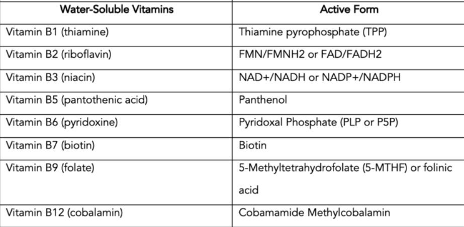 On the importance of vitamin B vitamins. Thread series. Thread #1: On ...