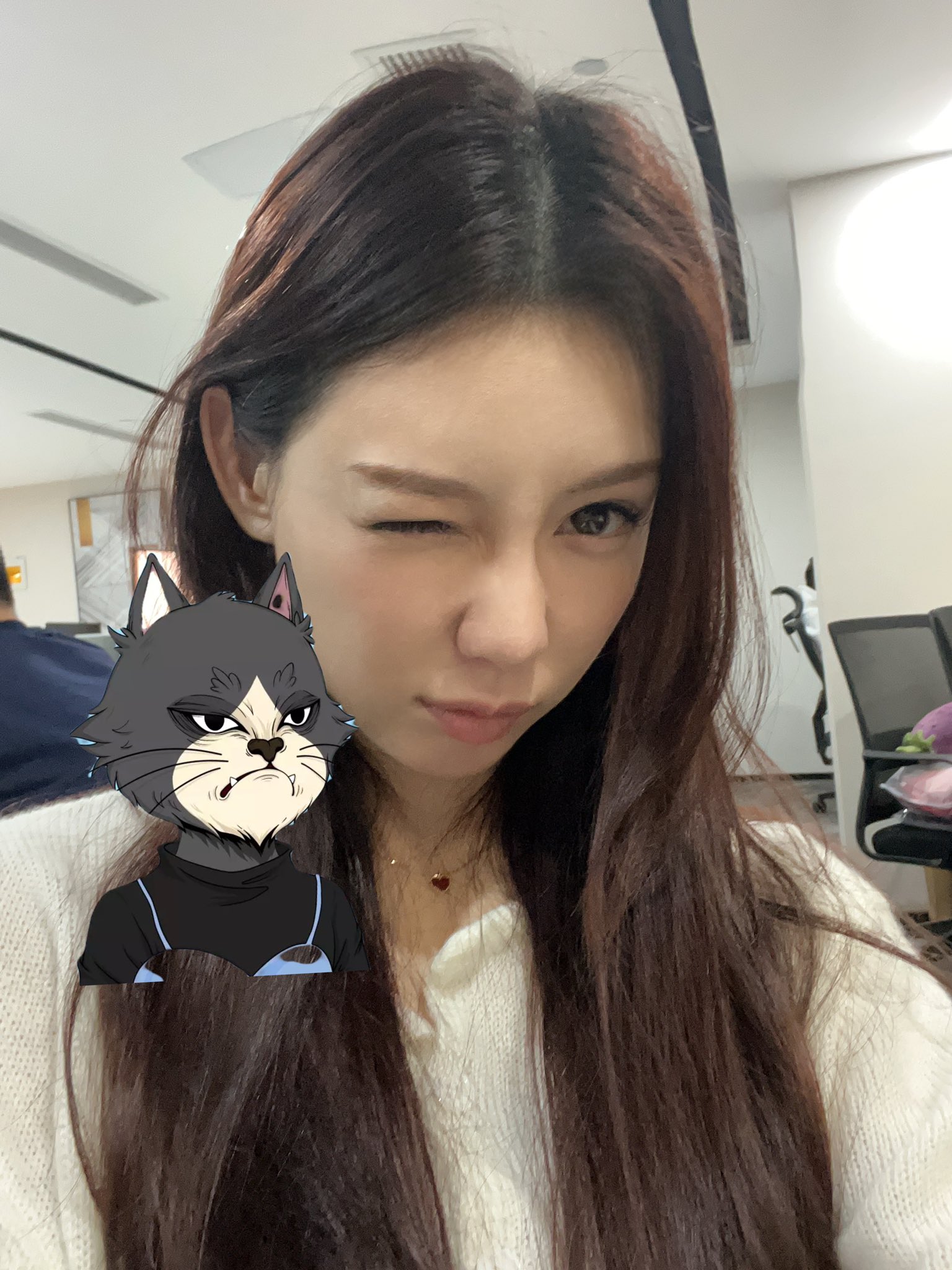 Chloe On Twitter “喜”提2天封楼 真的要变成生气猫了 M7iqw5zyh2 Twitter
