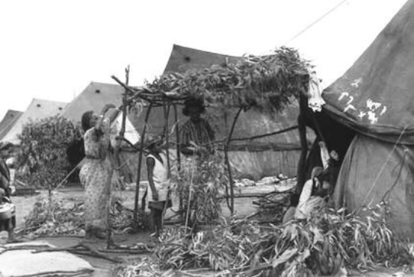 Thread by @Simcha_Gross on Thread Reader App – Thread Reader App