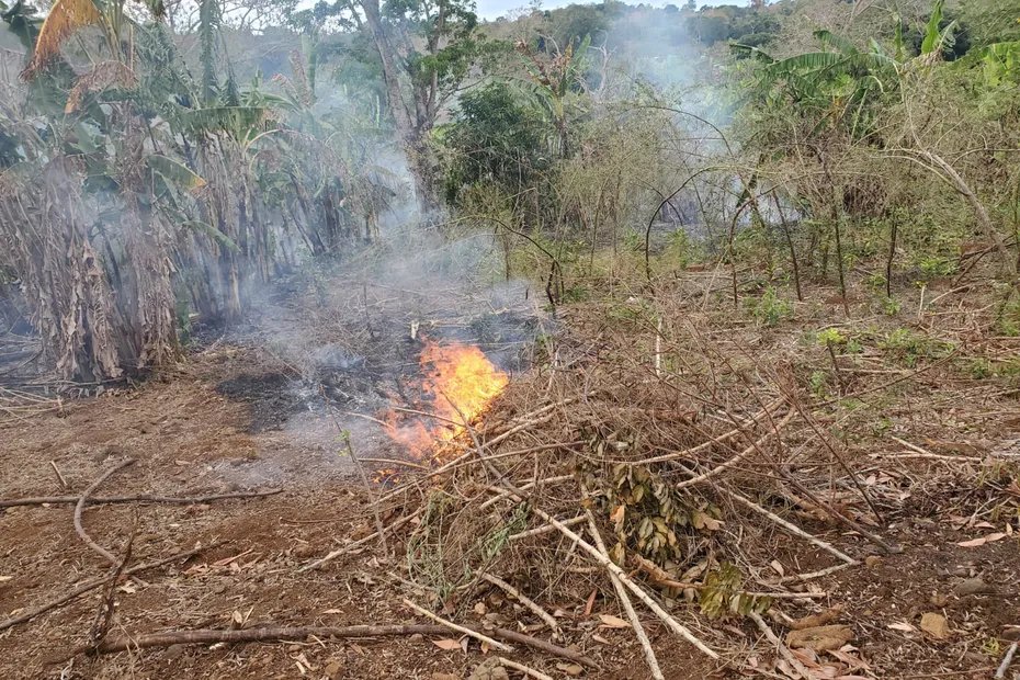 À Mayotte, les pompiers confrontés à de nombreux départs de feu ...