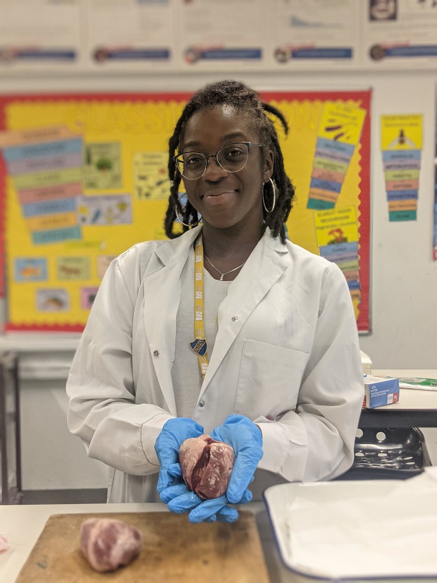 Introduction from the Principal - Harris Academy Purley