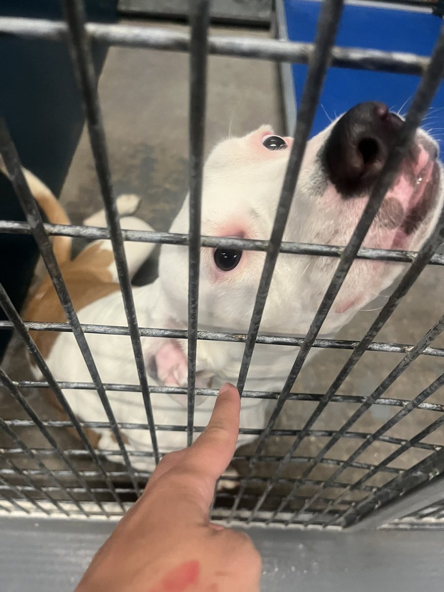 I met bizarro Birdie and I can’t stop thinking about her…. meg “slippin ...