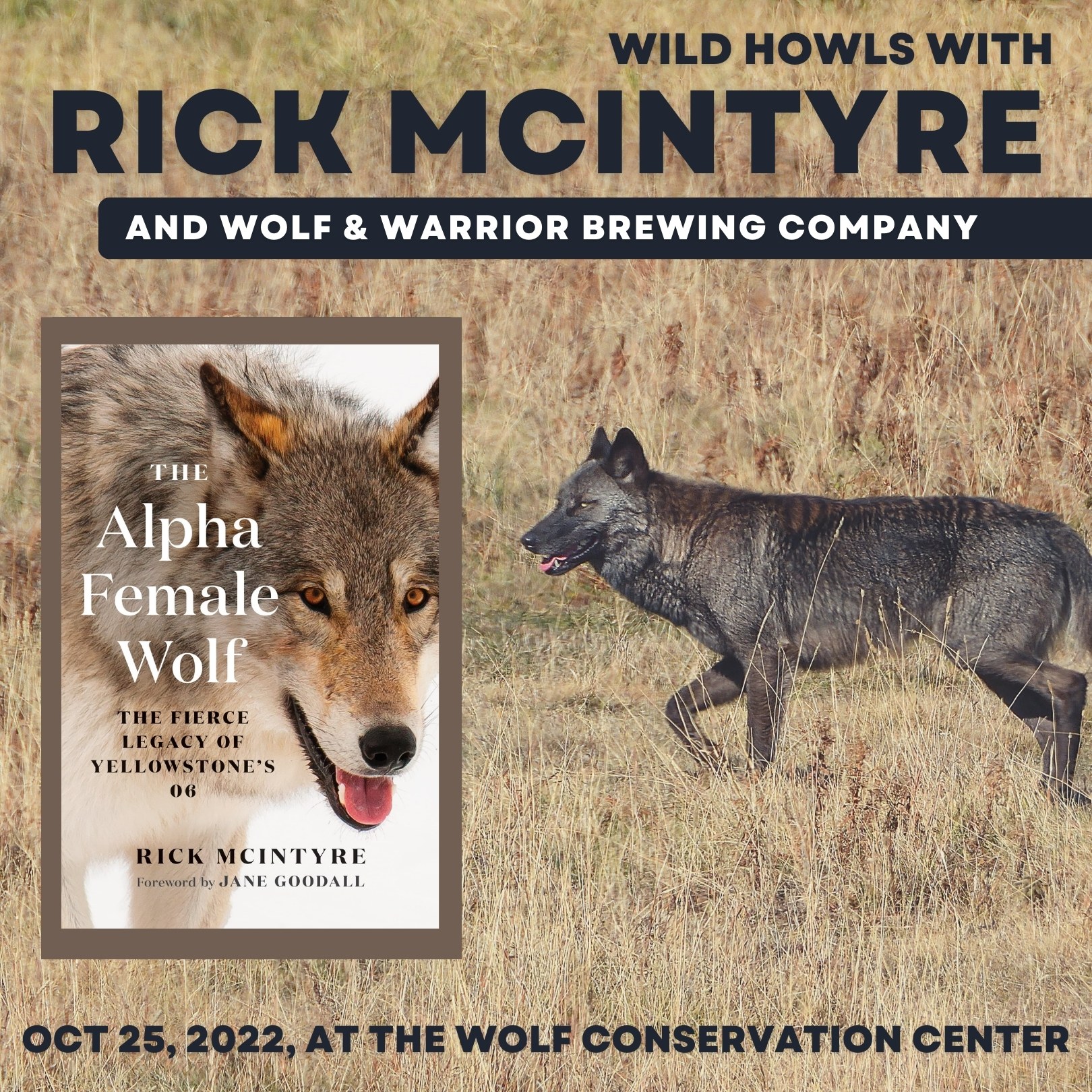 Warrior And His Wolf