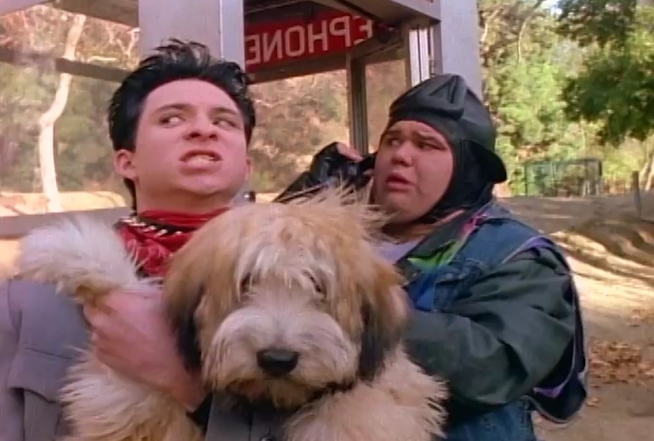 Power Rangers Daily ⚡️ On Twitter To Flea Or Not To Flee Mighty
