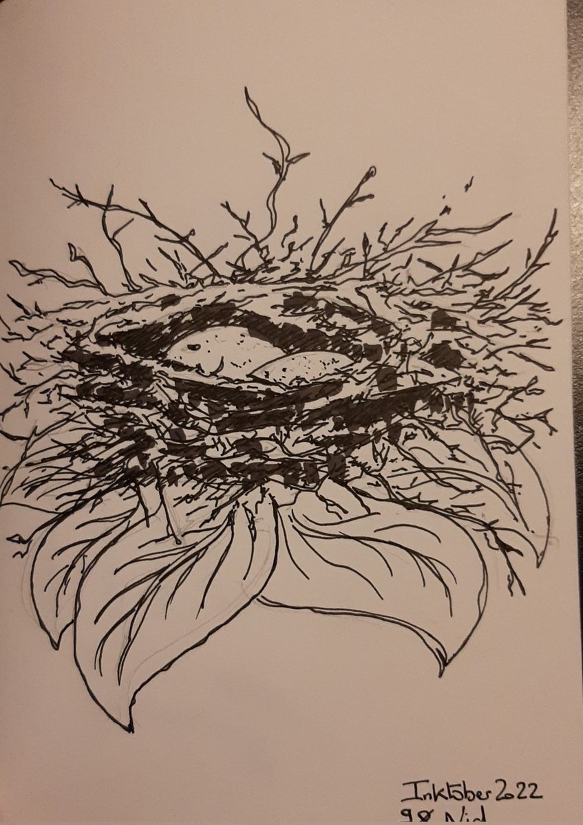 Ben Le Panda Roux Breton (@Redpanda291) さんのイラスト・マンガ作品まとめ (5 件) - Twoucan