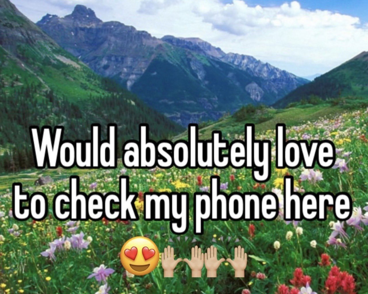 rob (@robert_dawg) / Twitter