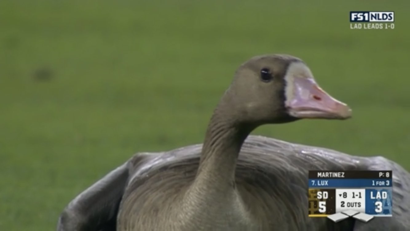 CPBL STATS - ♥️ #95, Mina, LIKE (@GOCPBL) / Twitter