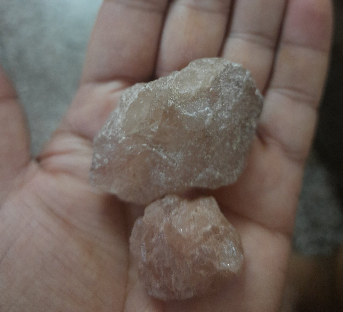 This is the English & Regional Name of The Ashapura/Janardan ( Another ...