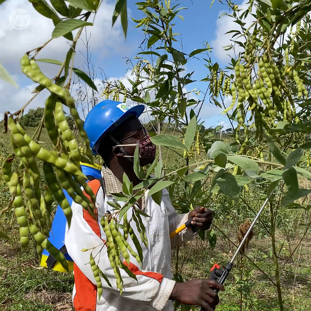 Global Environment Facility (GEF) (@theGEF) / Twitter