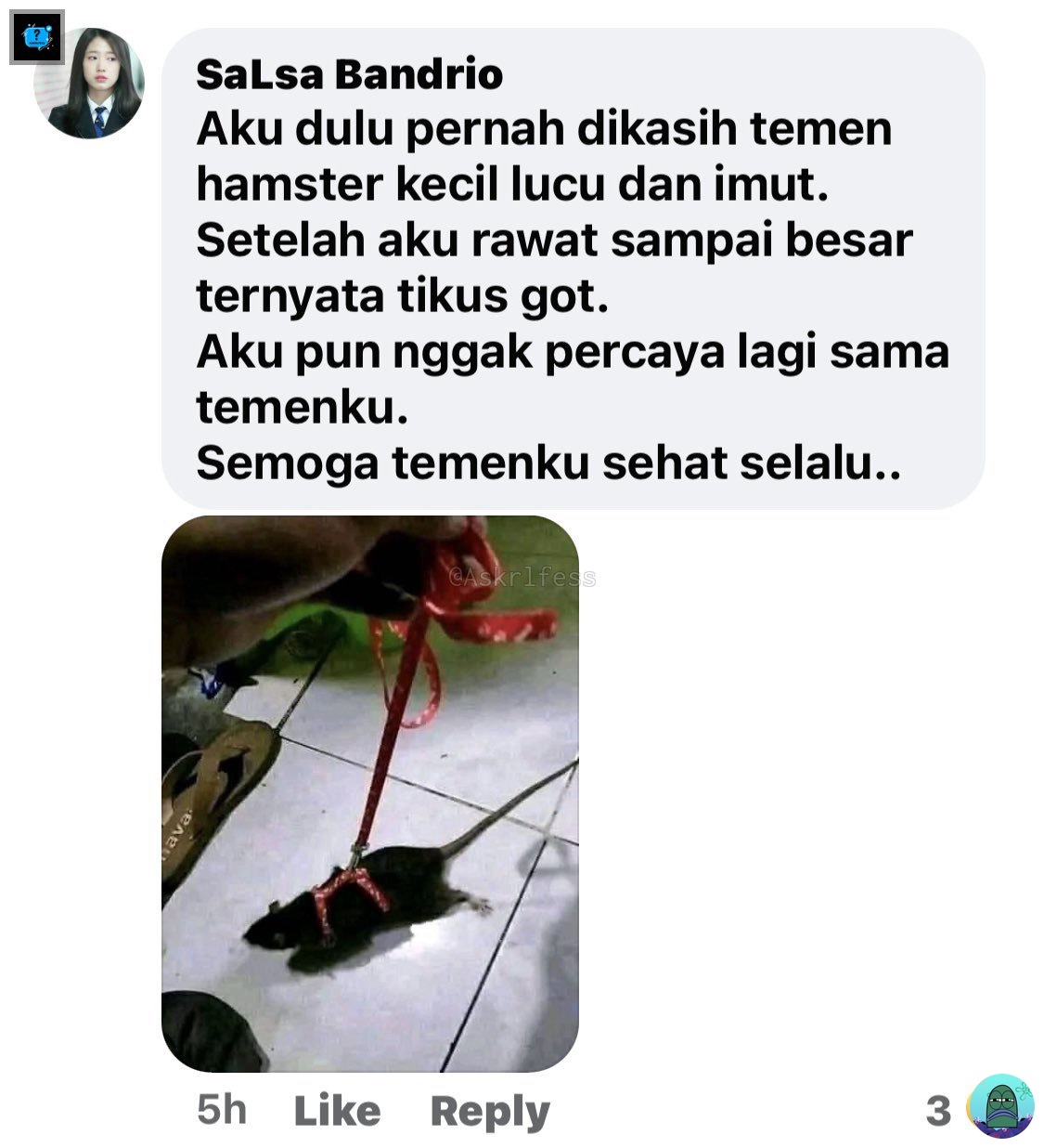 TanyarlㅡDilarang Rep LINK AFF‼ on Twitter: "💚 kalian masih percaya sama temen nggak? https://t ...