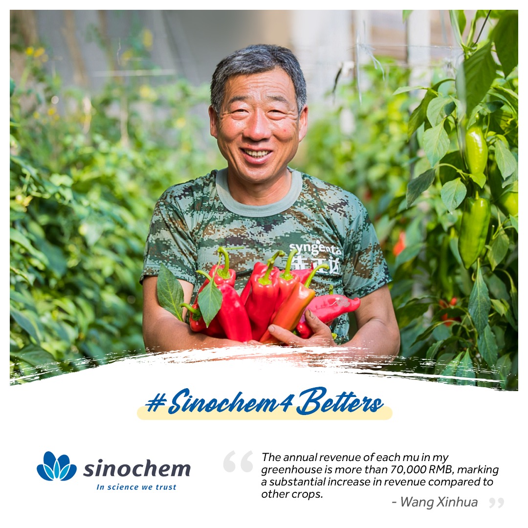 Sinochem on Twitter: "#Sinochem4Betters Under the guidance of experts from Sinochem Holdings ...