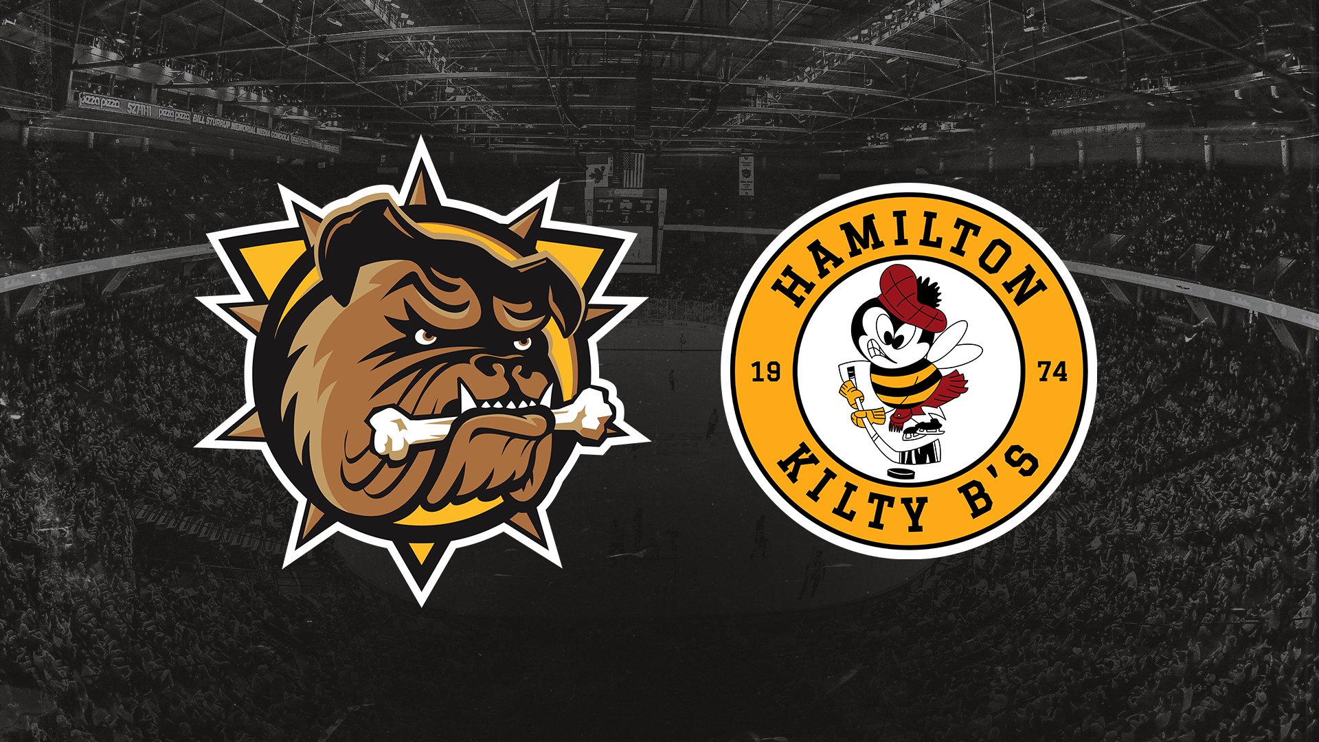 Hamilton Bulldogs Logo