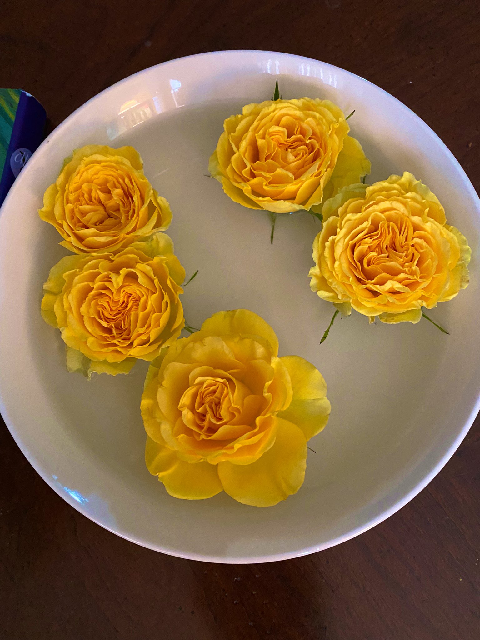 شاہ جی on Twitter: "September dump https://t.co/N0hrT8D1pP" / Twitter