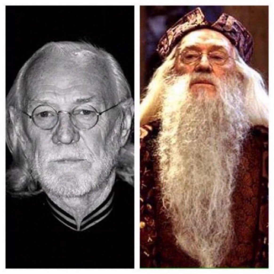 Harry Potter First Dumbledore