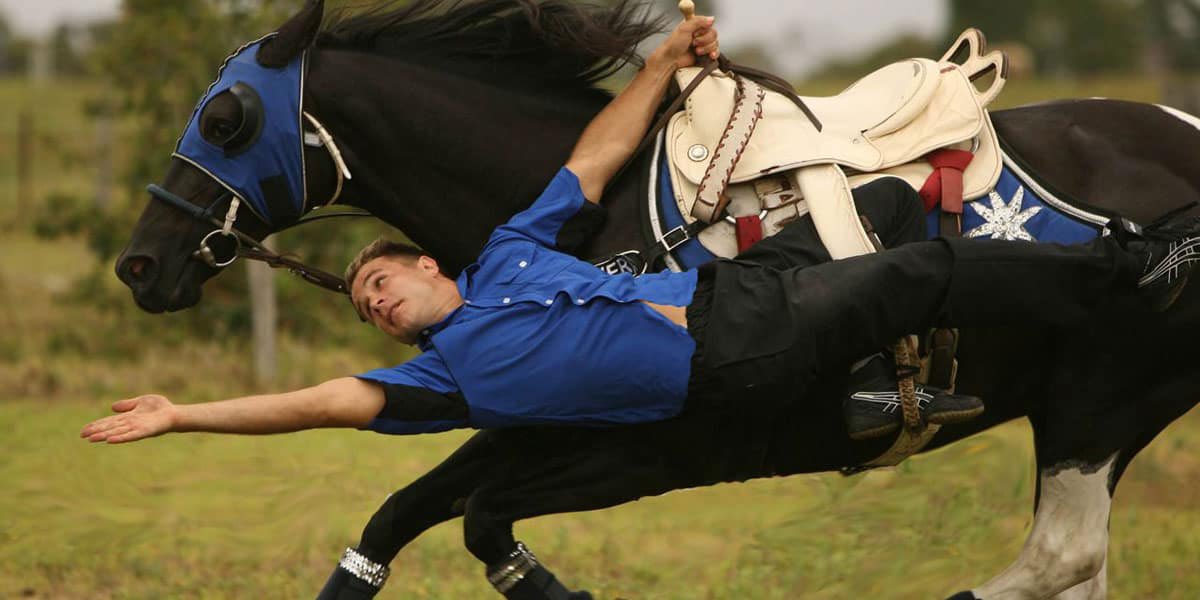 officialhambly she/they on Twitter: "That was the ‘unrealistic’ Galadriel horse scene ??? That’s ...