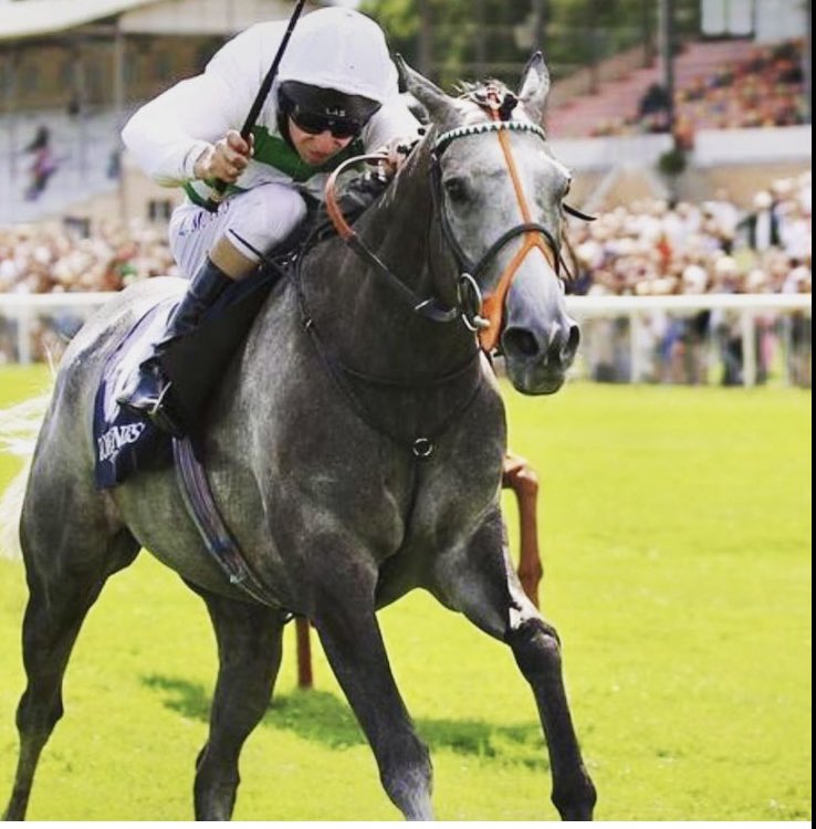 Latest News from Sir Mark Prescott & William Butler | Heath House ...