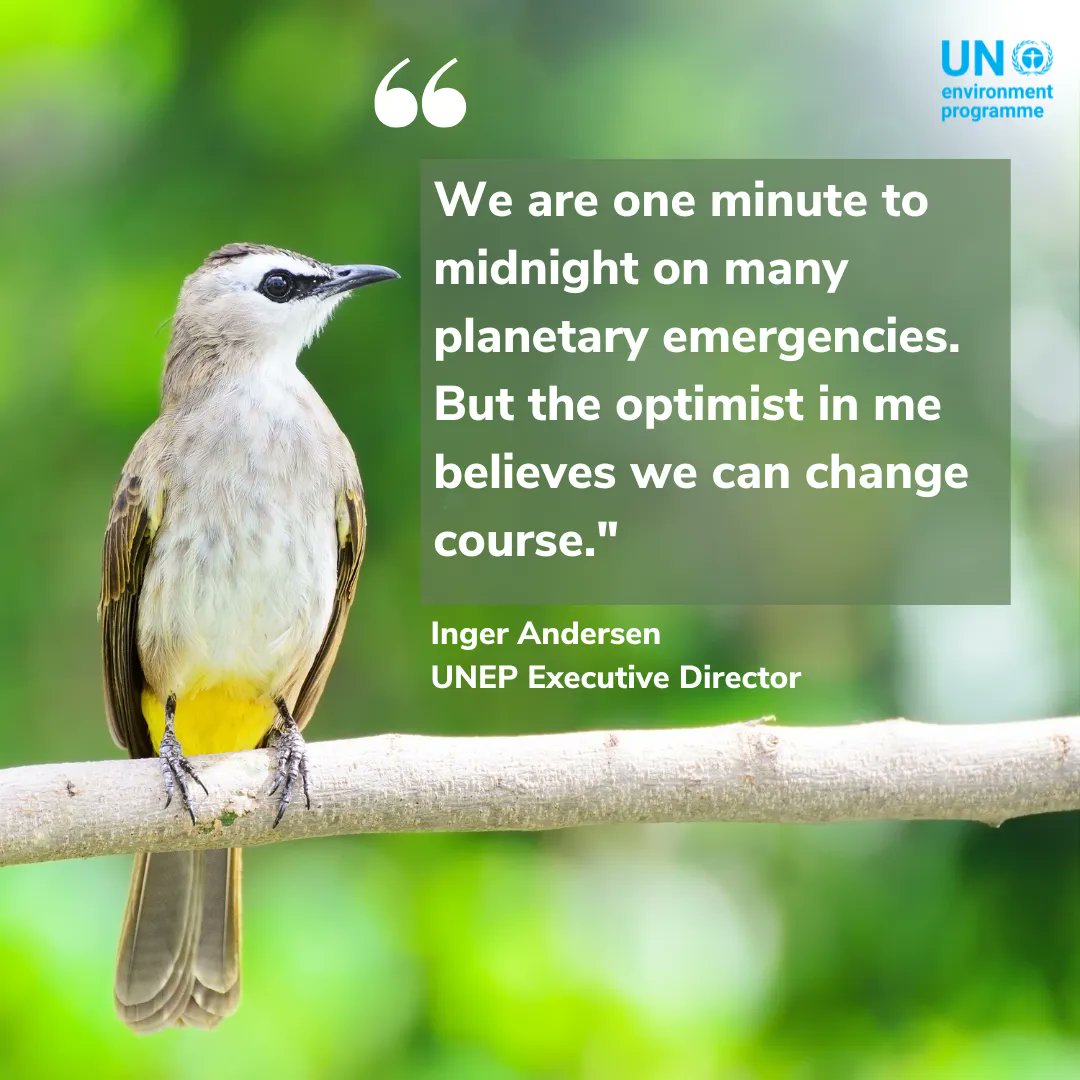 UN Environment Programme on Twitter: "Ahead of #COP27 on climate and #COP15 on biodiversity ...