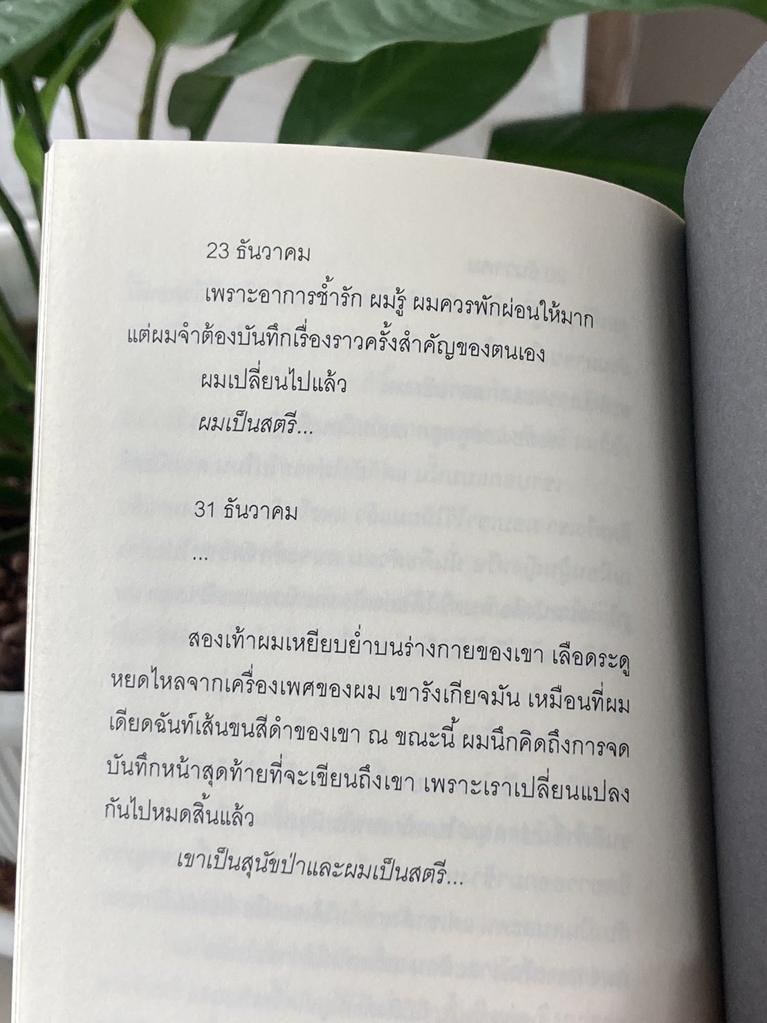 ร้านกลิ่นหนังสือ On Twitter มารีอาของฉัน ศิลปินหนึ่งเดียวของฉัน เธอจะ