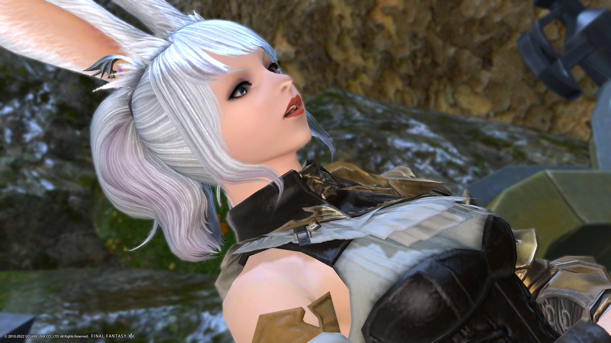 1girl animal ears viera rabbit ears solo white hair ponytail ...