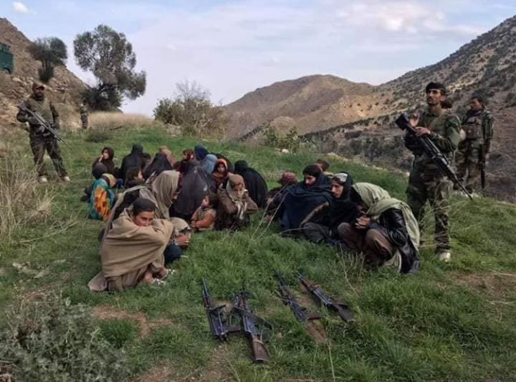 Thread by @Dragonvibee on Thread Reader App – Thread Reader App