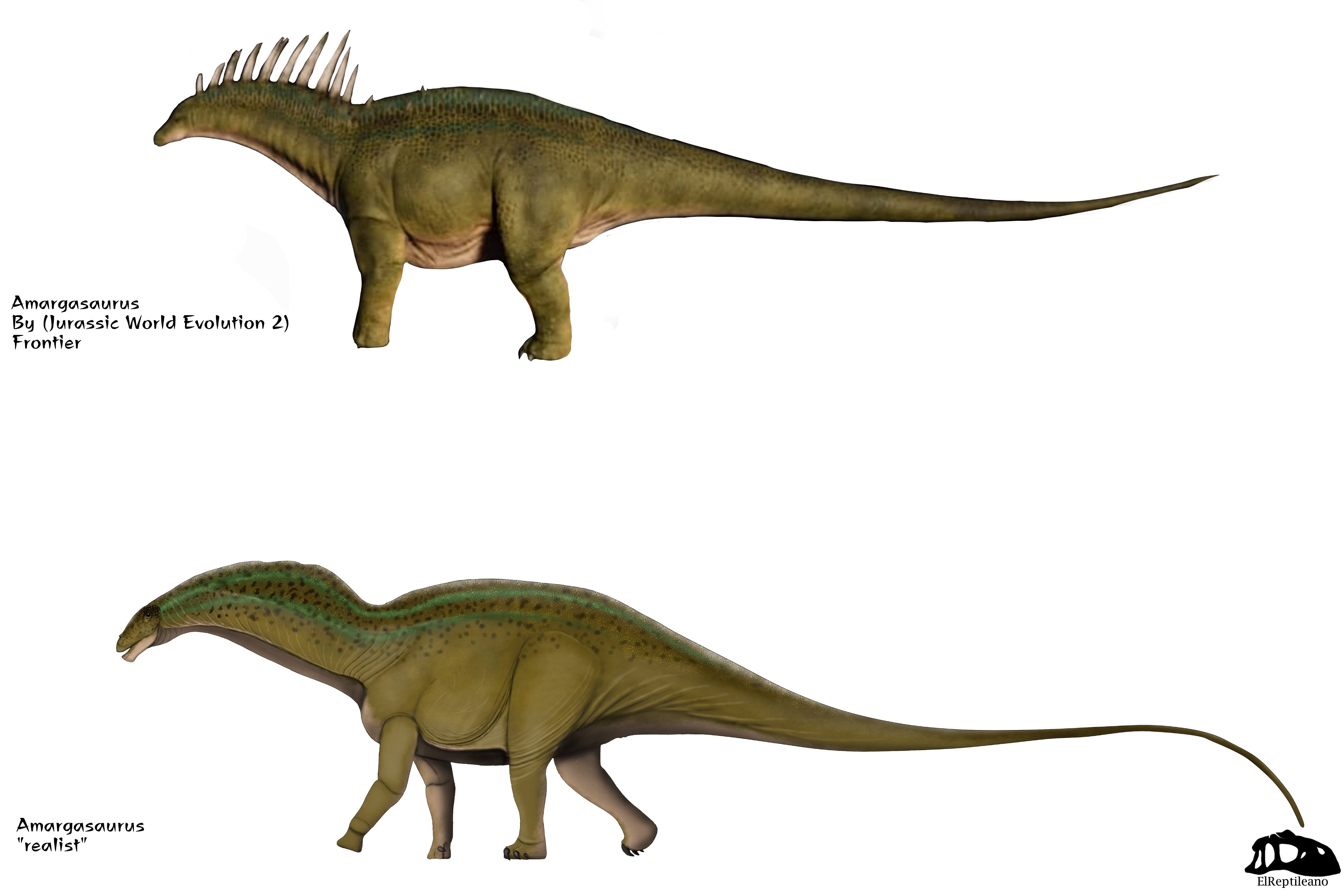 Yokomation Studios🇺🇦 on Twitter: "@ElReptileano i miss the days when Amargasaurus had Neck ...