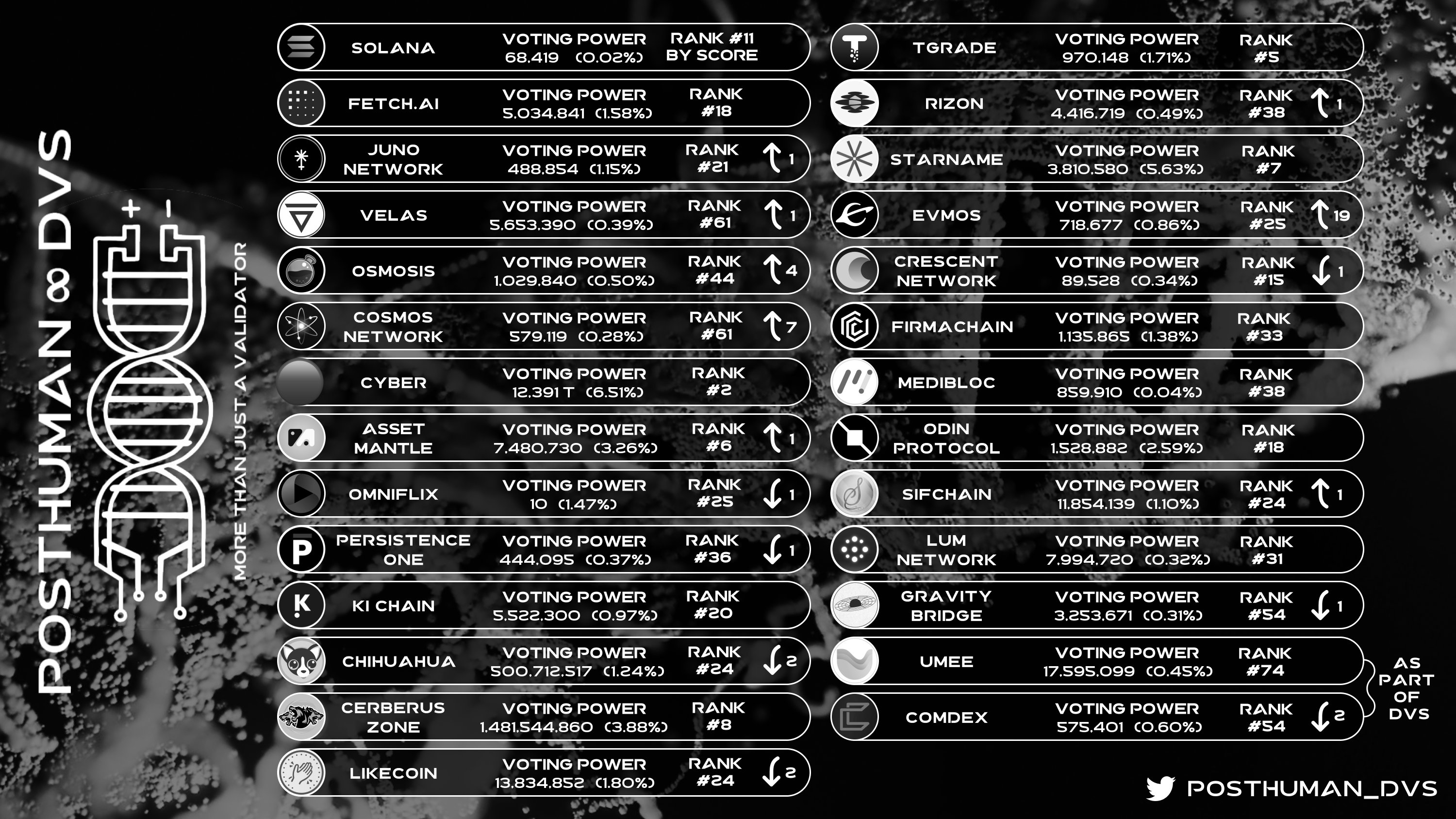 POSTHUMAN ∞ DVS on Twitter: "We glad to share our stats in one simple picture! We're growing day ...