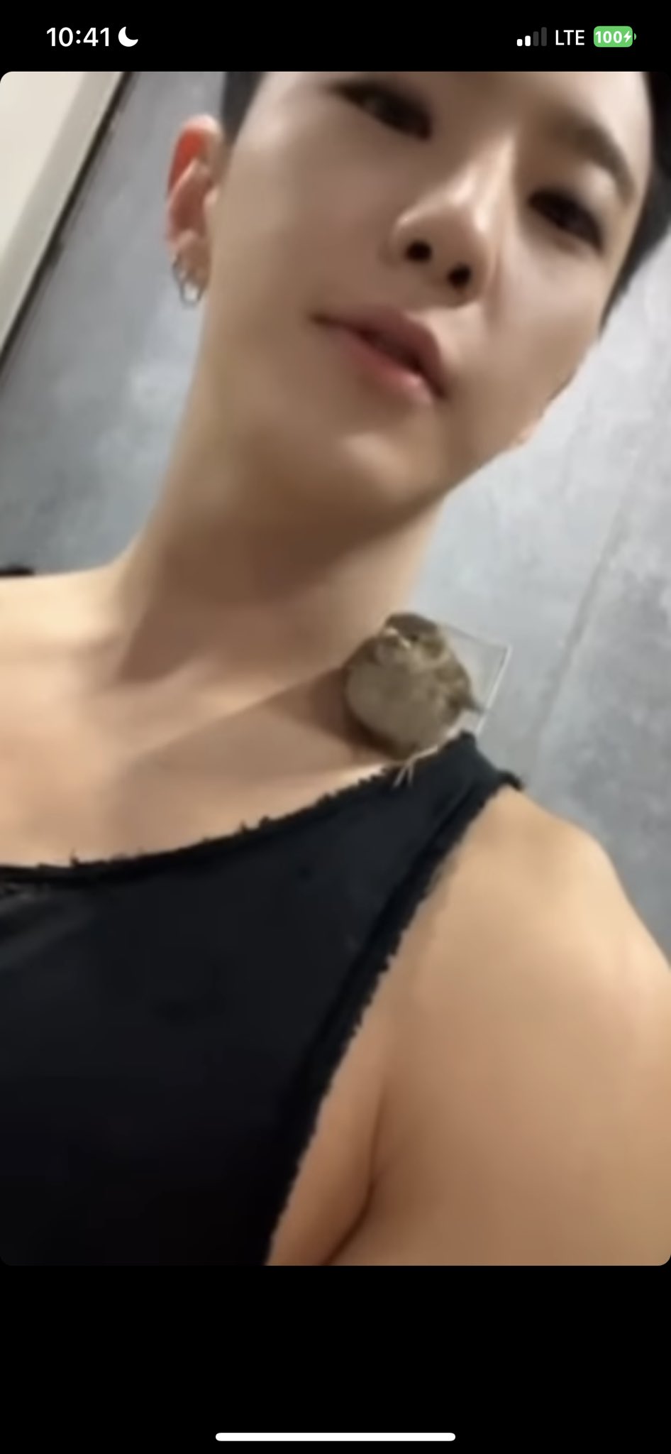 𝒸𝒶𝓁ℯ on Twitter: "Hoshi’s the new Snow White with the sparrow and it’s so precious ♡ #HOSHI #svt ...