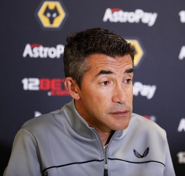 Wolves Fancast on Twitter: Wolves Fancast on Twitter: