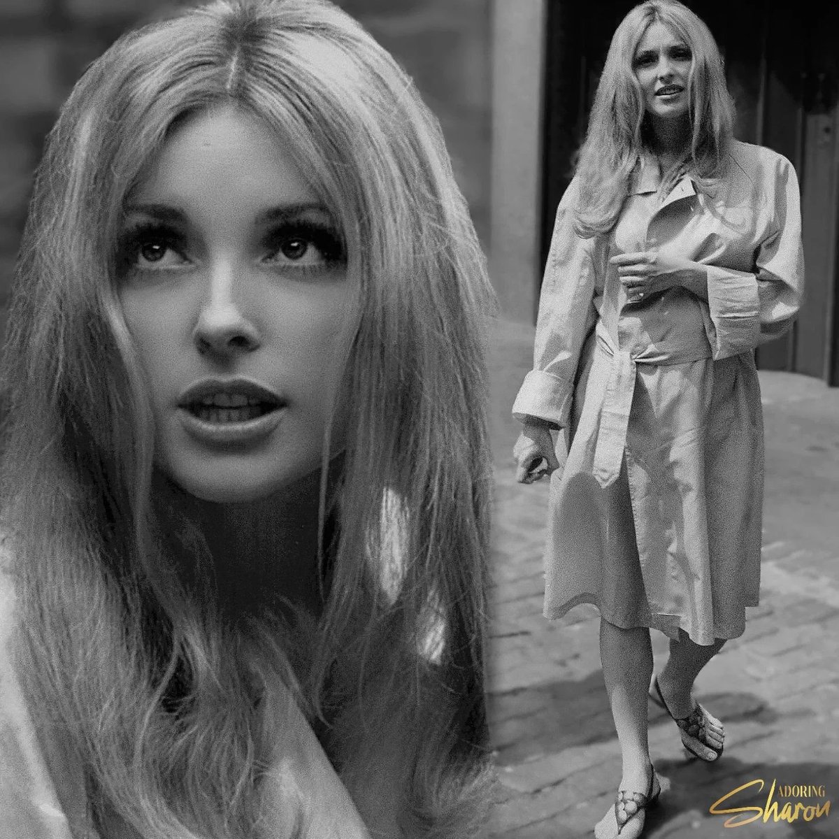 Sharon Tate on the set of '12+1' in London, 1969. 🤍 SlasherMan @neongiallo