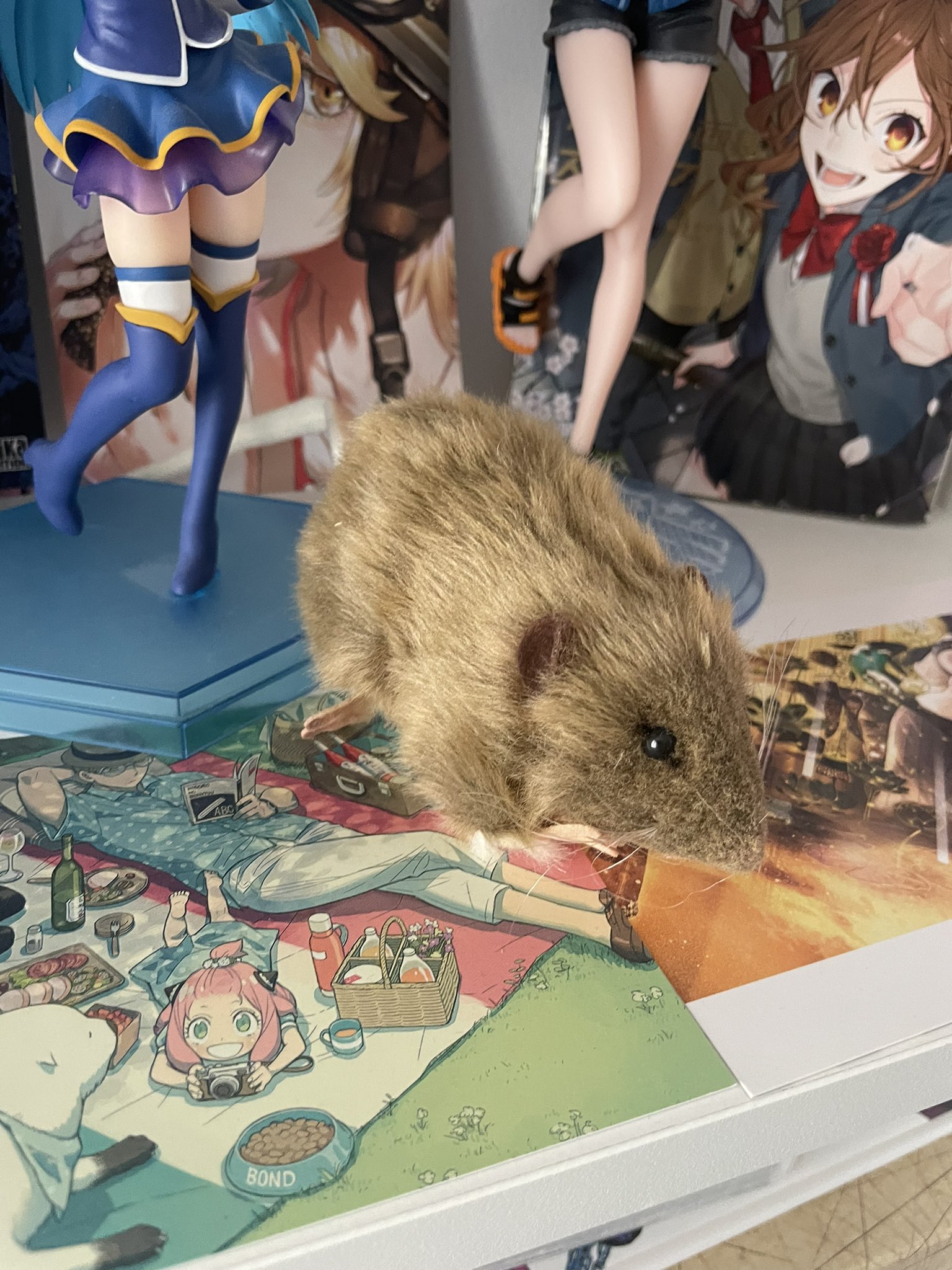 Julie Joestar (@salucjulie) / Twitter