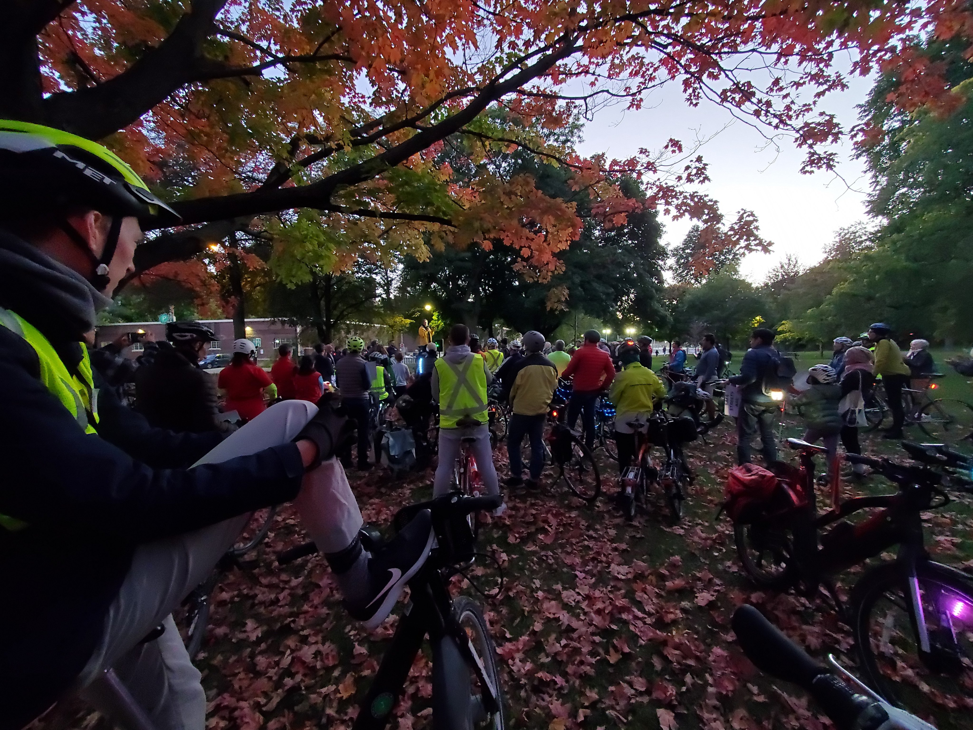 Yonge4All (@Yonge4All) / Twitter