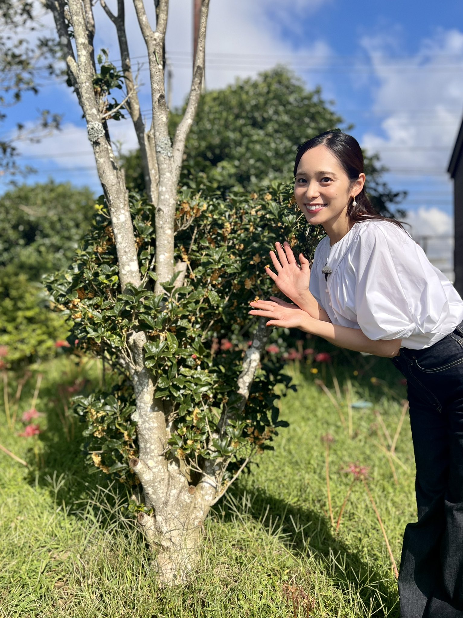 内田侑希/ Yuki Uchida on Twitter: "先日見つけた金木犀😌 癒やされる〜💛 https://t.co/zl2VdPsUOQ" / Twitter