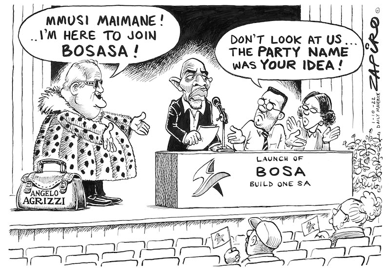 Zapiro Latest Cartoon