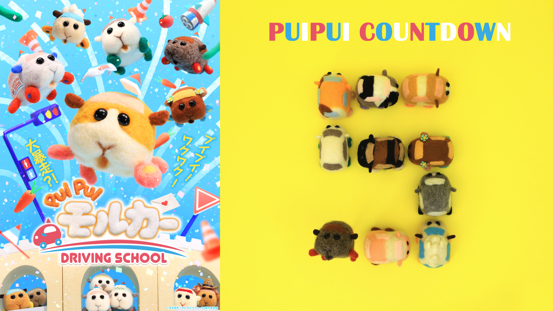 PUI PUI モルカー【公式】 on Twitter: "#PUIPUICOUNTDOWN ／ #モルカーDS 放送開始まで あと5⃣日！ \ 『PUI PUI モルカー DRIVING ...