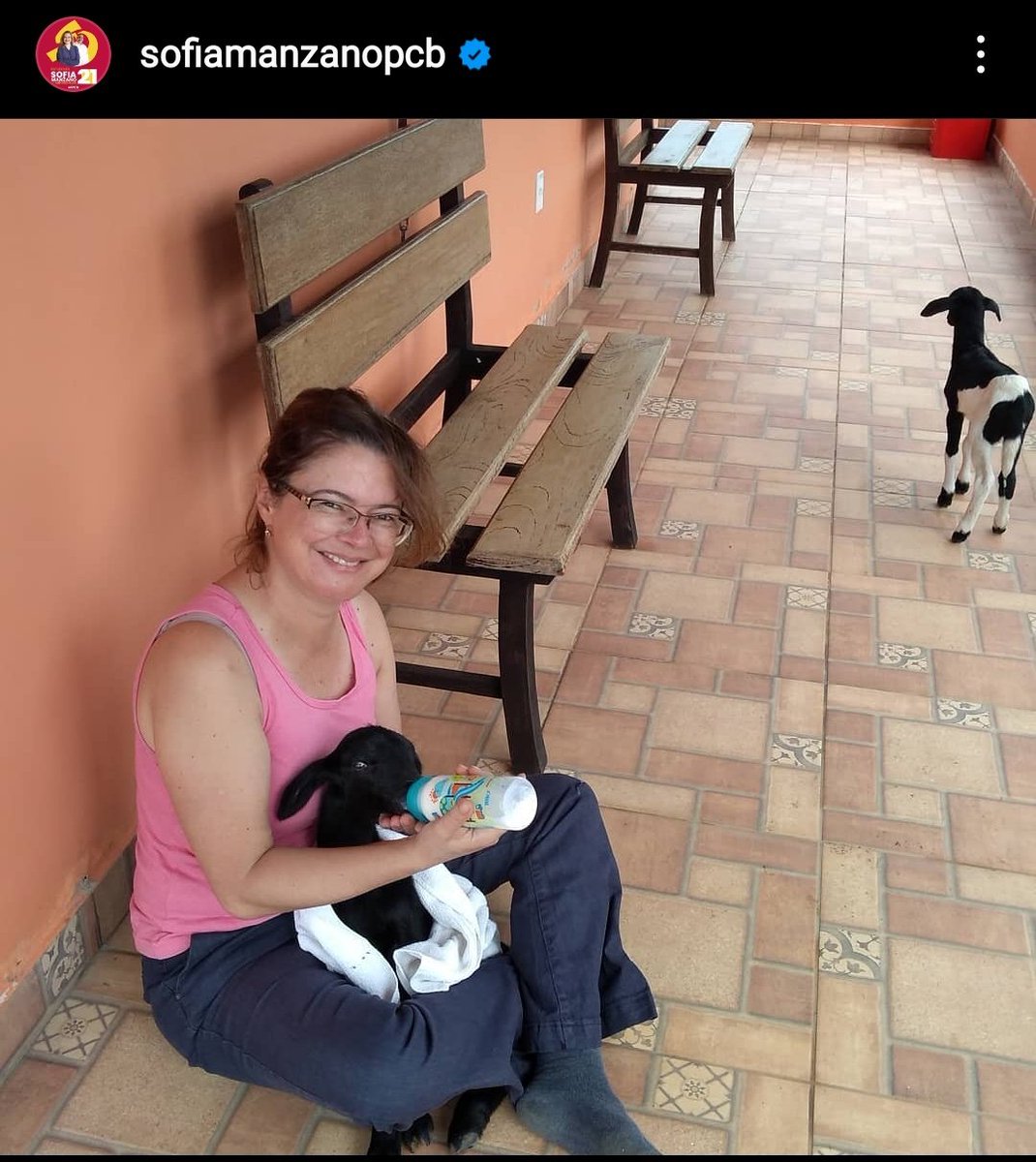 playboy da ujc vai votar 1️⃣3️⃣ on Twitter: "Eu não sabia que precisava disso, até ver. Sofia ...