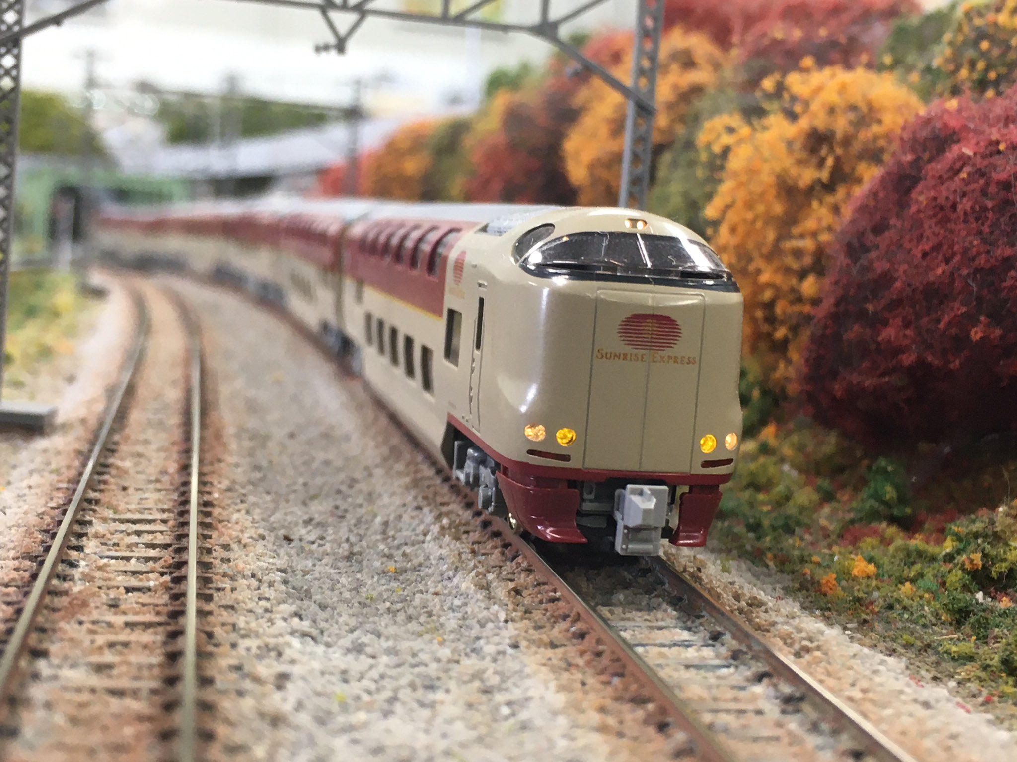 釜鉄路 on Twitter: "E257系NB-10編成と413系トキ鉄 筒石駅。 最高！ https://t.co/GjbMxPDh04" / Twitter